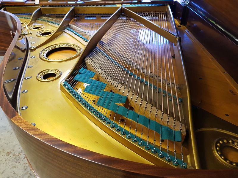 Bechstein B Grand Piano (1925) | Roberts Pianos